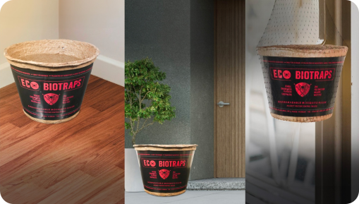 How to use EcoBioTraps?